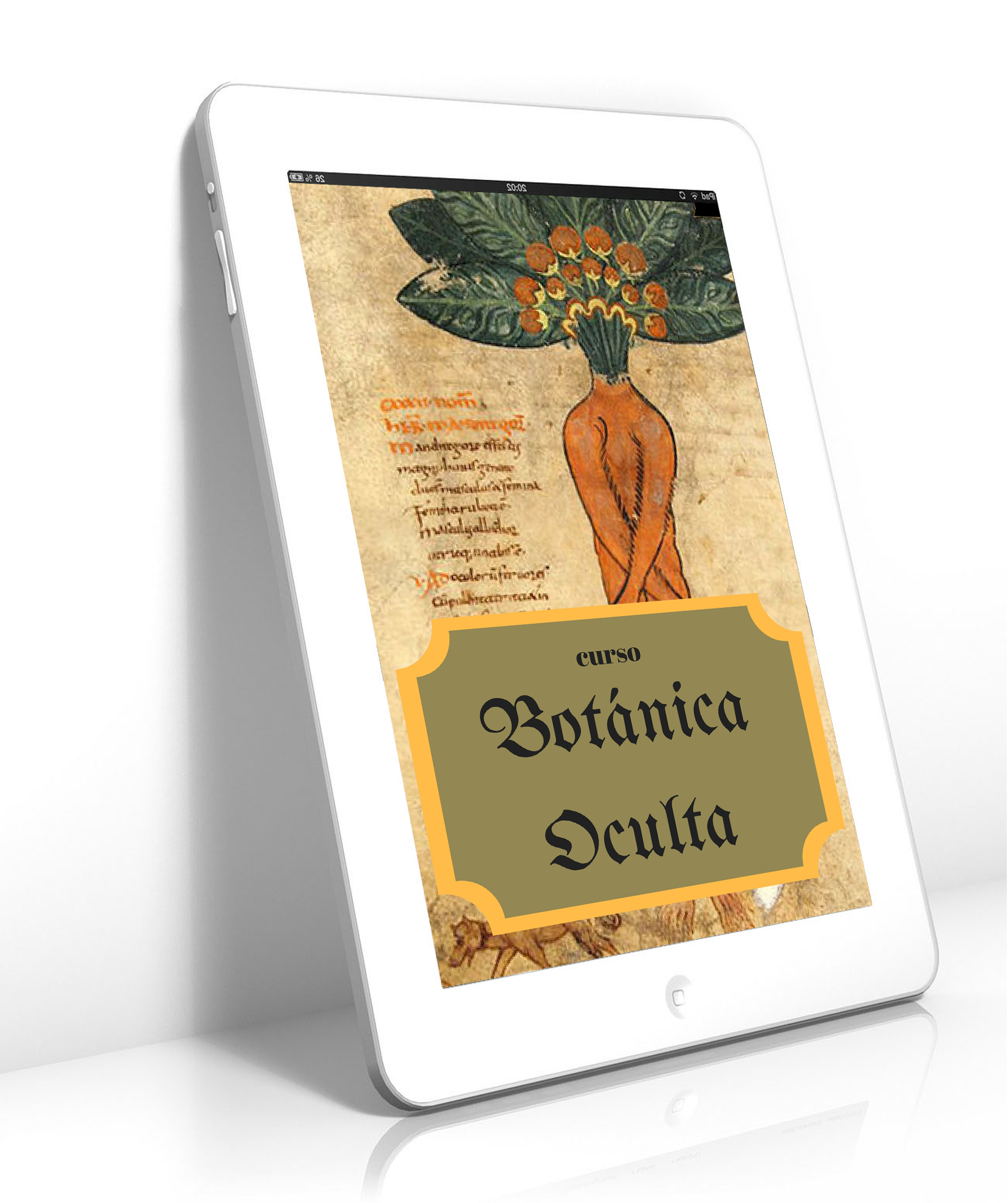 Curso de Botánica Oculta • Tisanas de mi Abuela